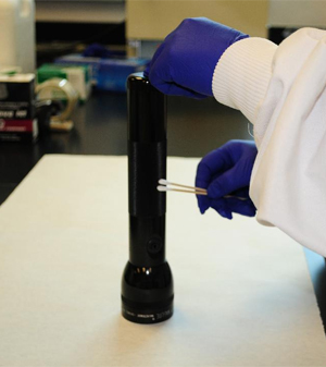 Crime Lab - Charlotte-Mecklenburg Police Department