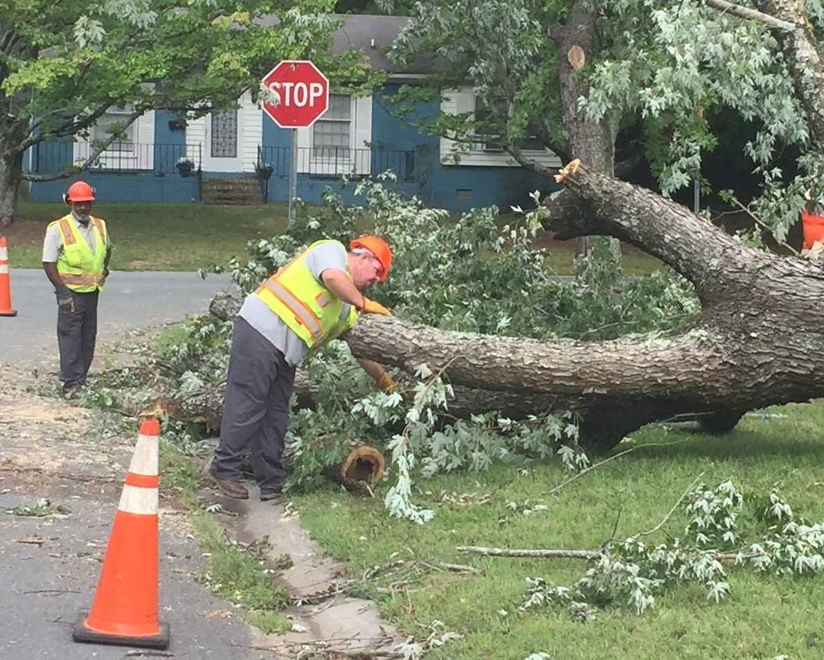 Canopy Care Program - City of Charlotte