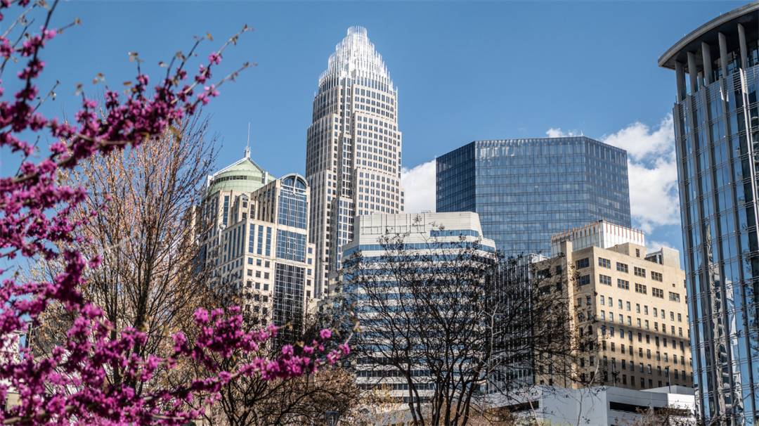 City of Charlotte Announces Sustainability Award Winners - City of ...